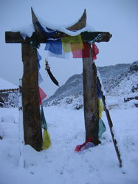 Nature Based Practice | Eco Dharma